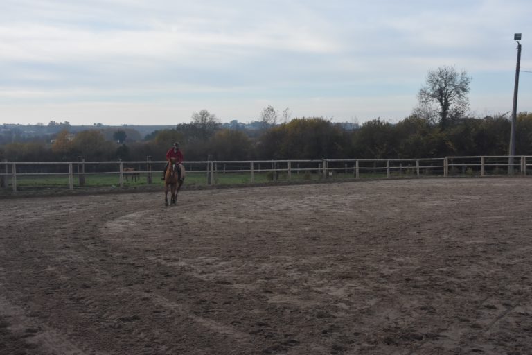 Photo LES ECURIES DE L’OASIS ARRANGER LUMINOSITE | Cheval Partenaire