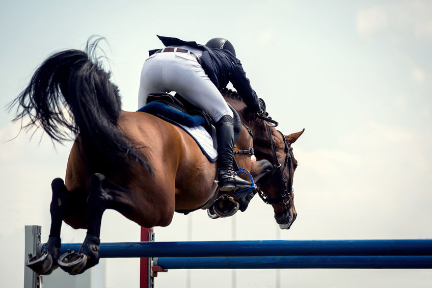 44220105 – equestrian sports, horsejumping events | Cheval Partenaire