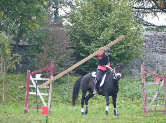 Le TREC, discipline équestre complète | Cheval Partenaire