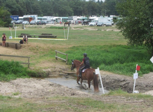 Le TREC, discipline équestre complète | Cheval Partenaire
