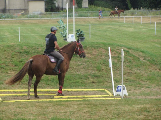 Le TREC, discipline équestre complète | Cheval Partenaire