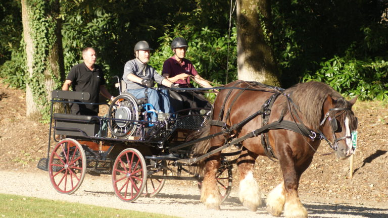 L’équitation au service des handicapés | Cheval Partenaire