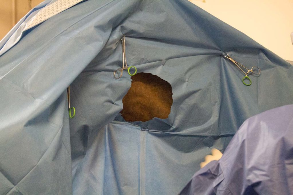 Chirurgie chez le cheval | Cheval Partenaire