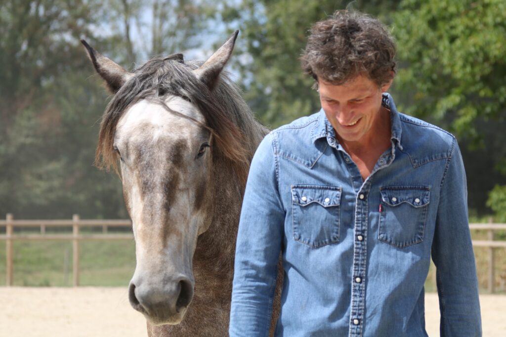 Cheval/cavalier et travail en liberté | Cheval Partenaire