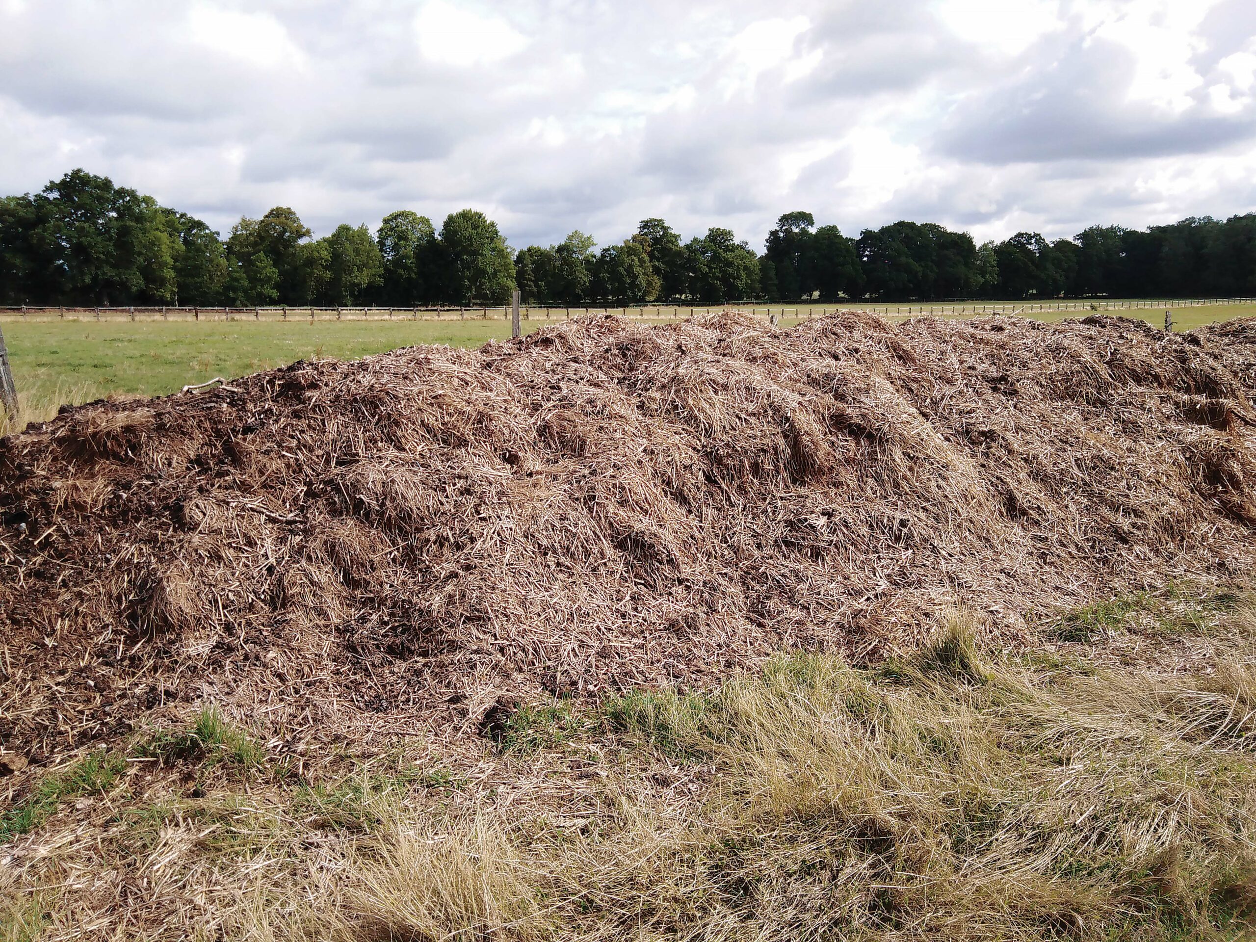 Comment valoriser votre fumier de cheval
